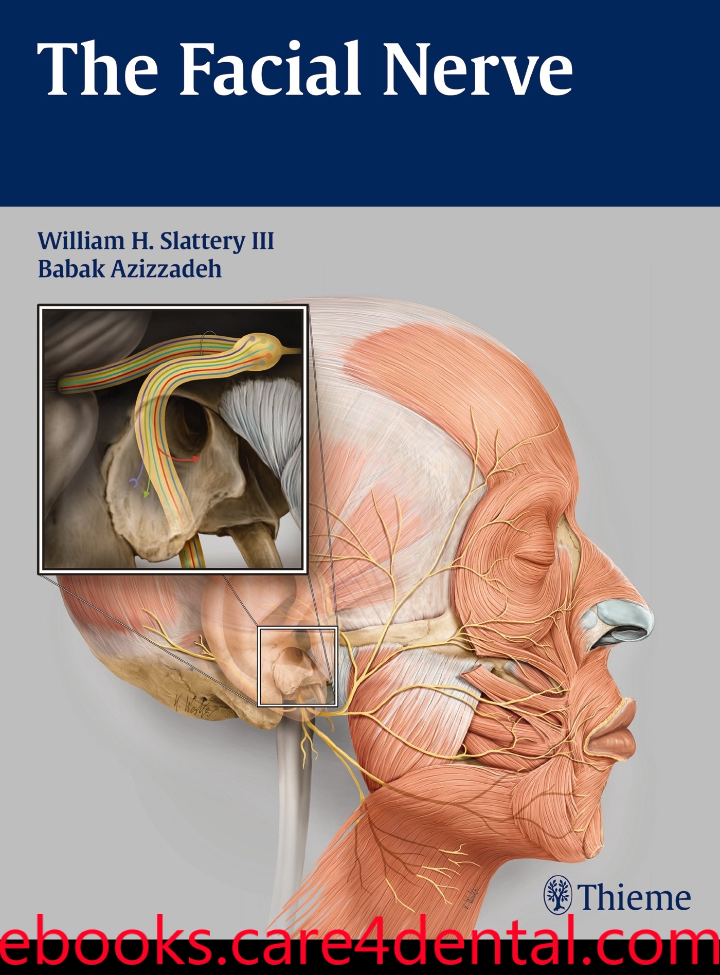 Facial Nerve Anatomy Picture Facial Nerve Paralysis Dr. Rahul Bagla